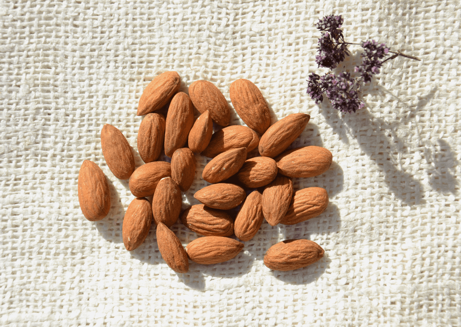 100+ Snacks That are 100 Calories or Less (Homemade and Store Bought!)